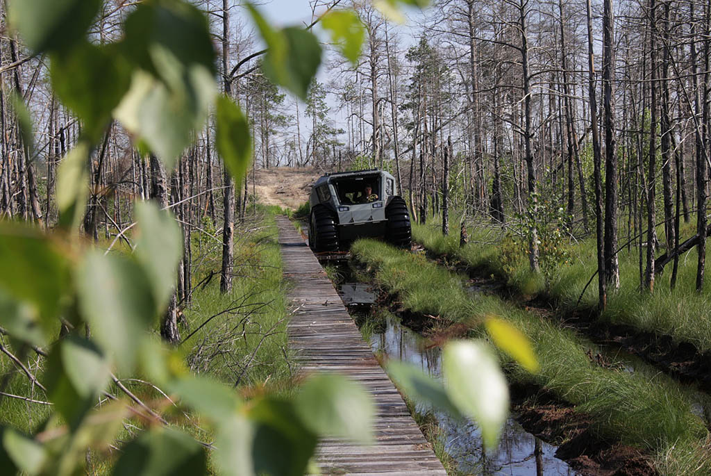 Olmanskie Swamps. The Territory of Untouched Belarusian Nature ...