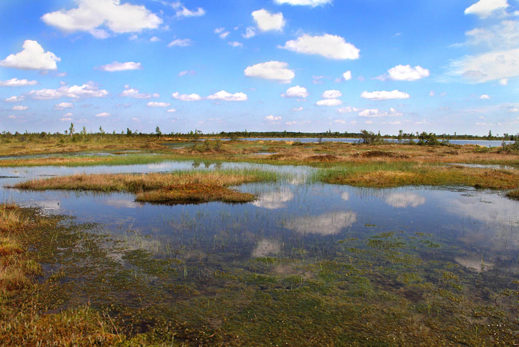 The Elnya Republican Reserve: Swamp Walks, Tundra Landscapes, and ...