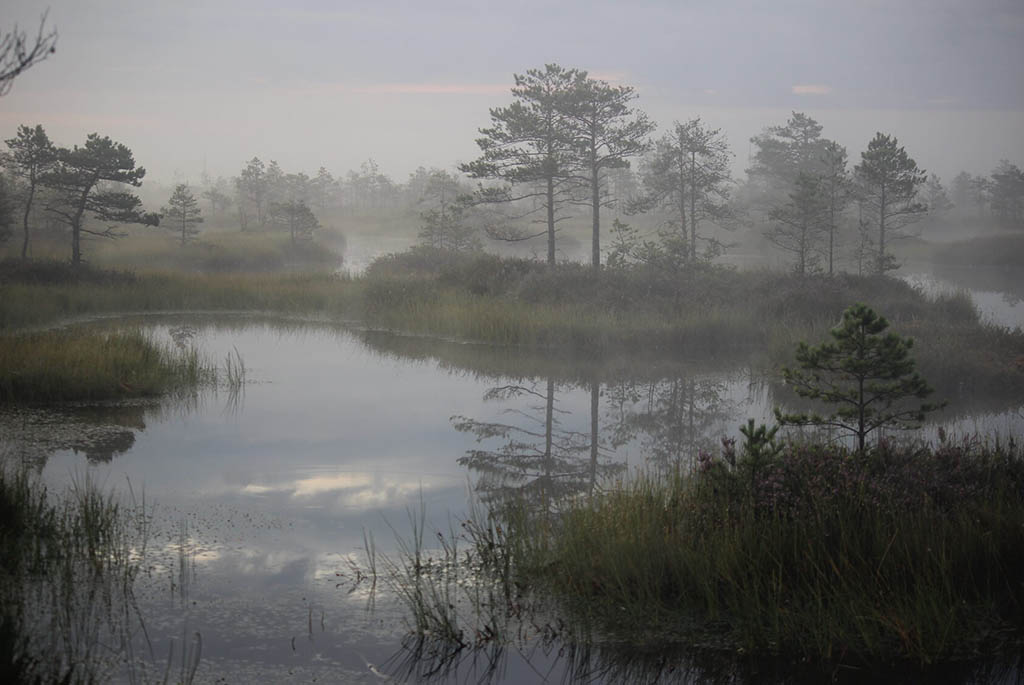 The Elnya Republican Reserve: Swamp Walks, Tundra Landscapes, and ...