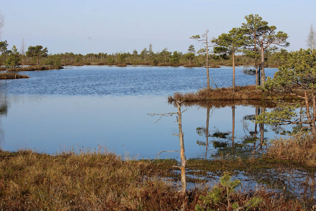 The Elnya Republican Reserve: Swamp Walks, Tundra Landscapes, and ...